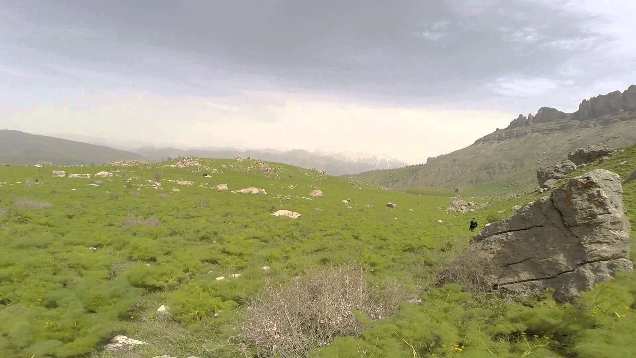 Argosh argoshi ergoshi ergush hargosh argushi argushy argoshy argush ...