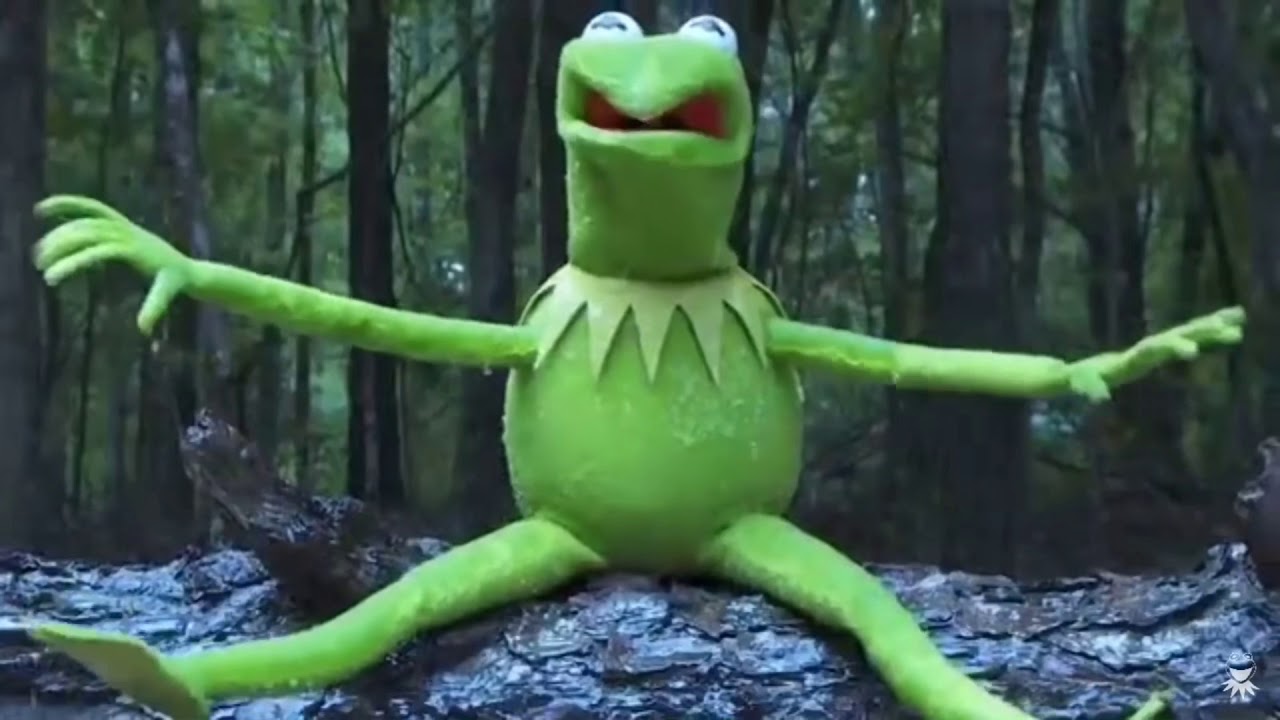 Kermit The Frog - Nightmare Fuel - YouTube