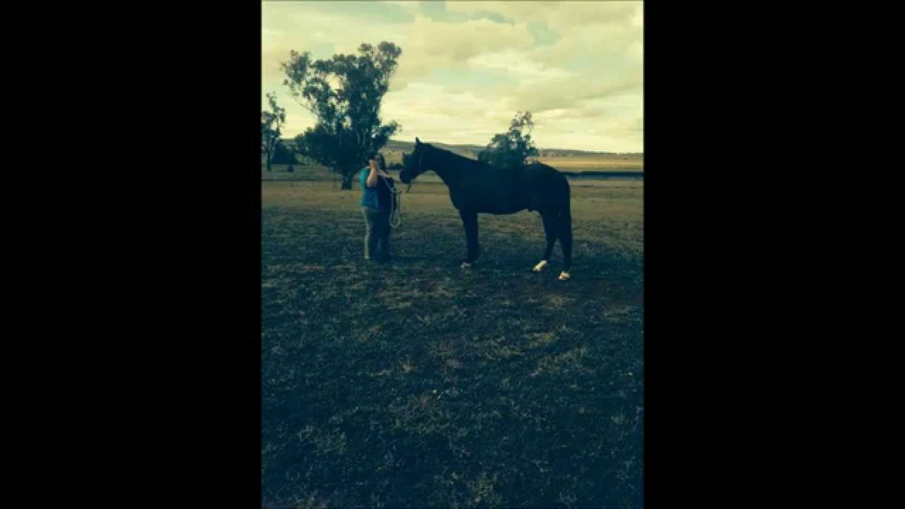 Midnight Spartan Led class training 1 - YouTube