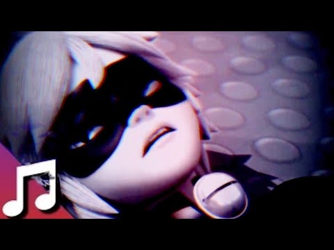 Kara kedinin ölümü😿