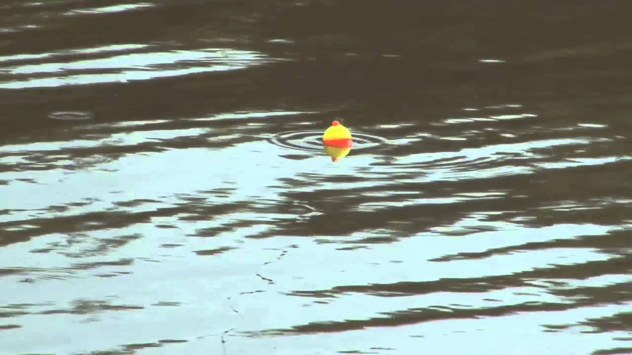 Magic Bait - YouTube