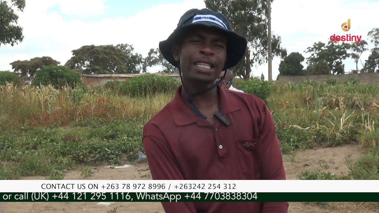 'Ndakatonzwa mushonga uchinhuwa paari achiti mushonga wehuku handina ...