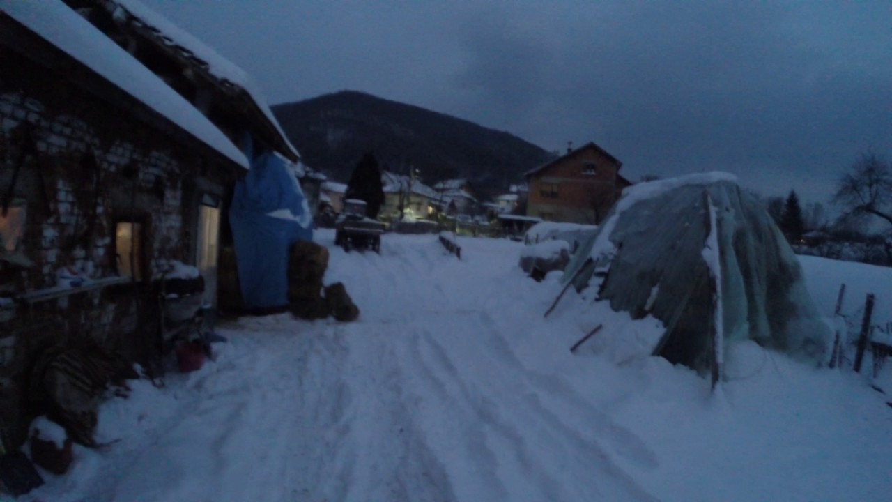 Moja mini FARMA KRAVA HD - YouTube