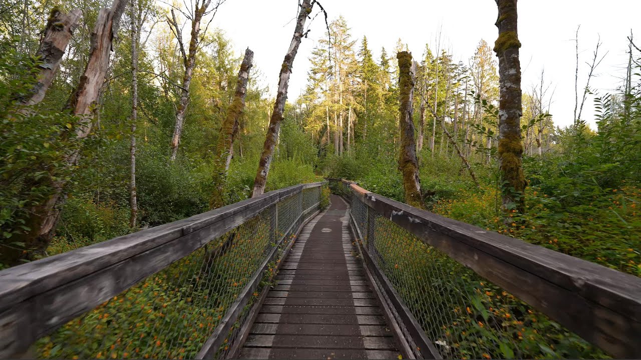 Walking at West Hylebos Wetlands Park 4K60 - YouTube