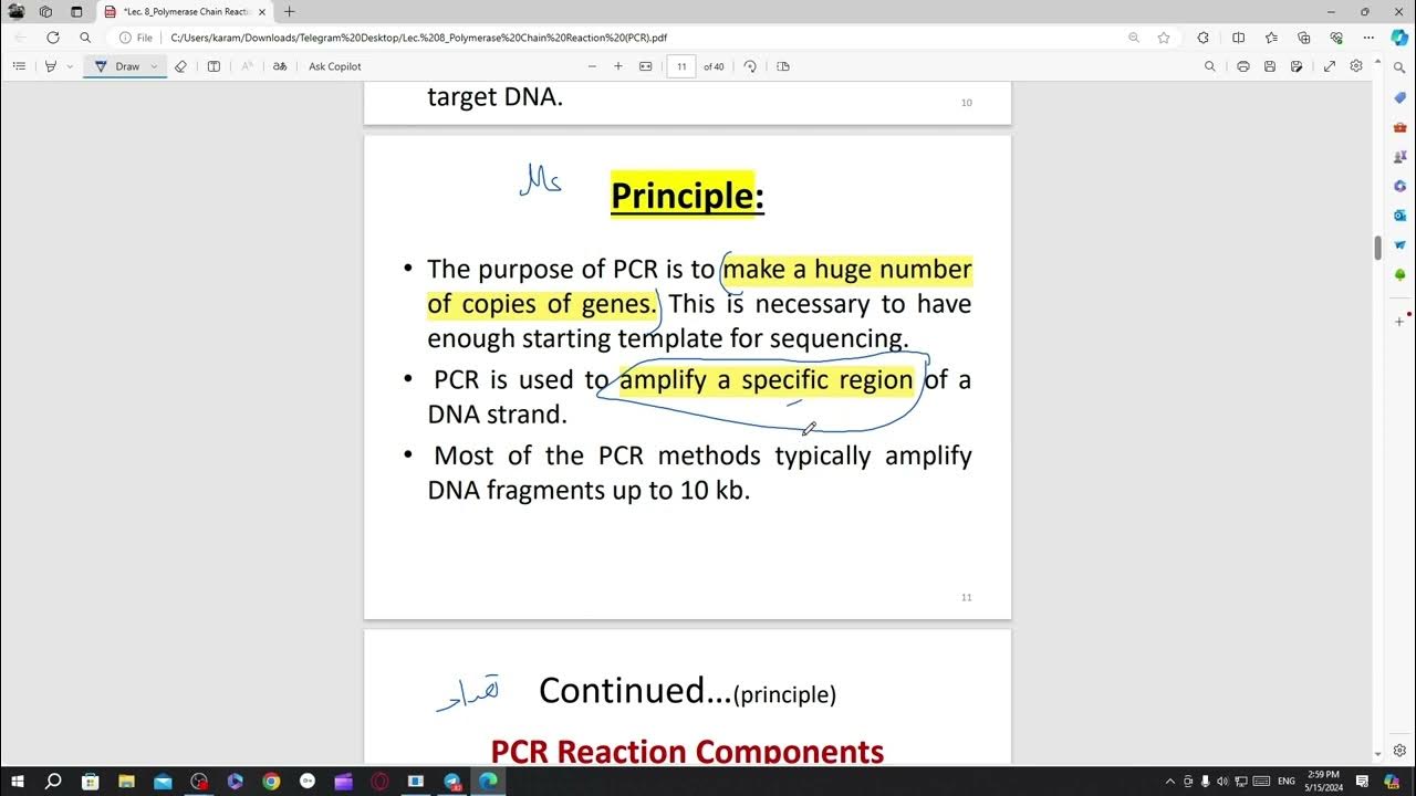 LEC 8 PCR - YouTube