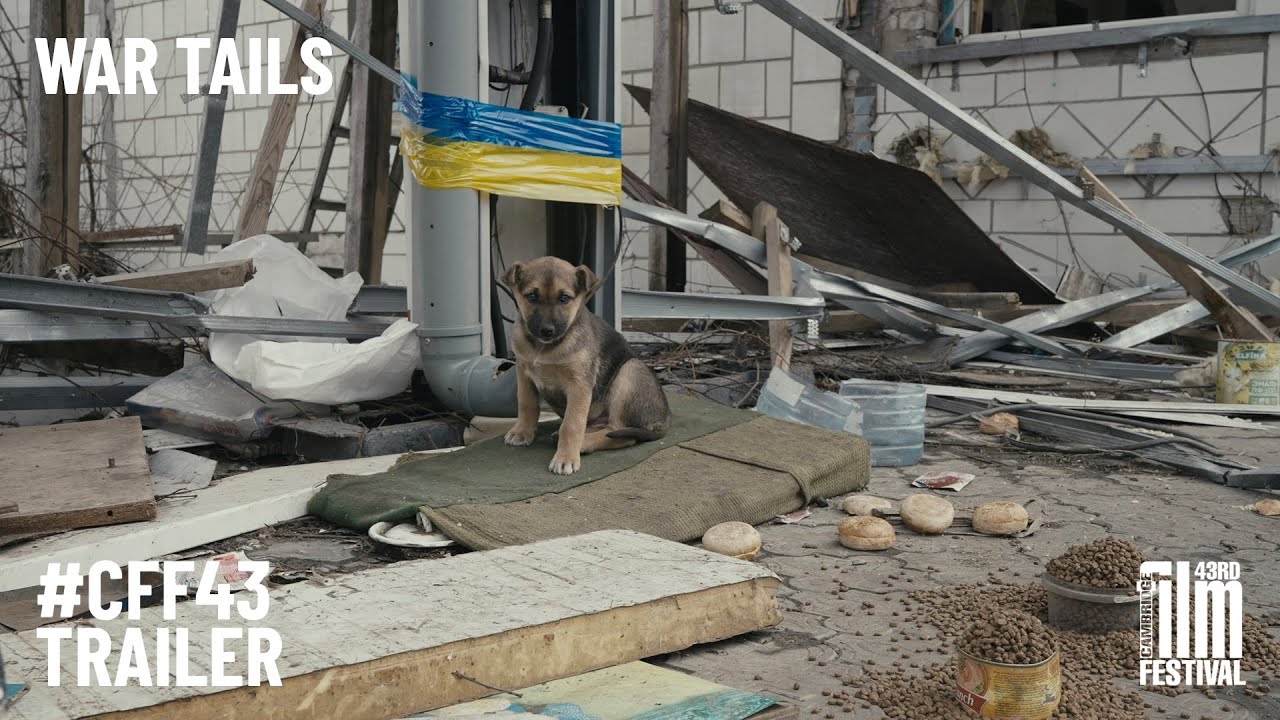 WAR TAILS trailer - Cambridge Film Festival 2024 - YouTube