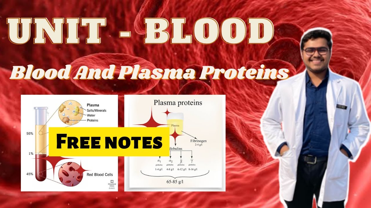 Blood and Plasma Proteins | MBBS 1st year physiology lectures | Blood physiology - YouTube