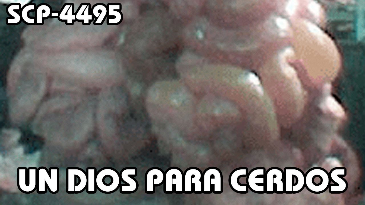 SCP-4495: Un Dios para Cerdos (Español Latino) - YouTube