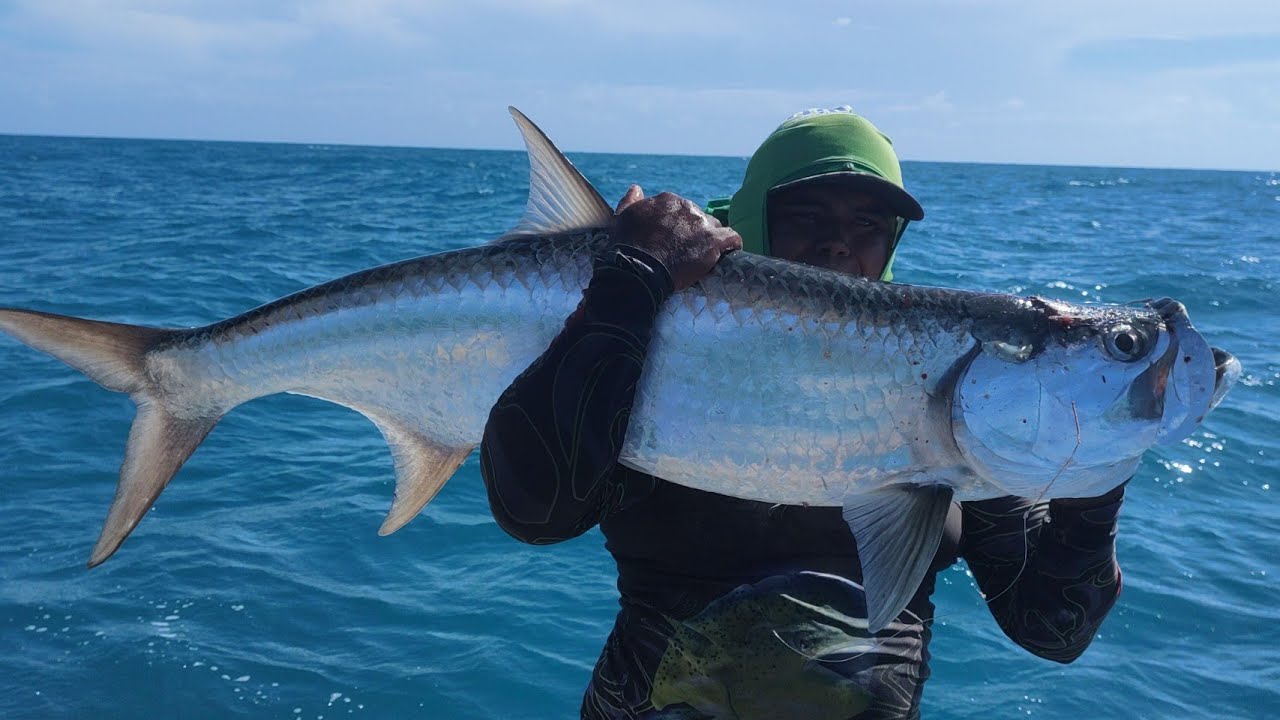 (Guerreiros Do Mar) CAPTURAMOS UM DOS PEIXES MAIS PROCURADO DO MAR ...
