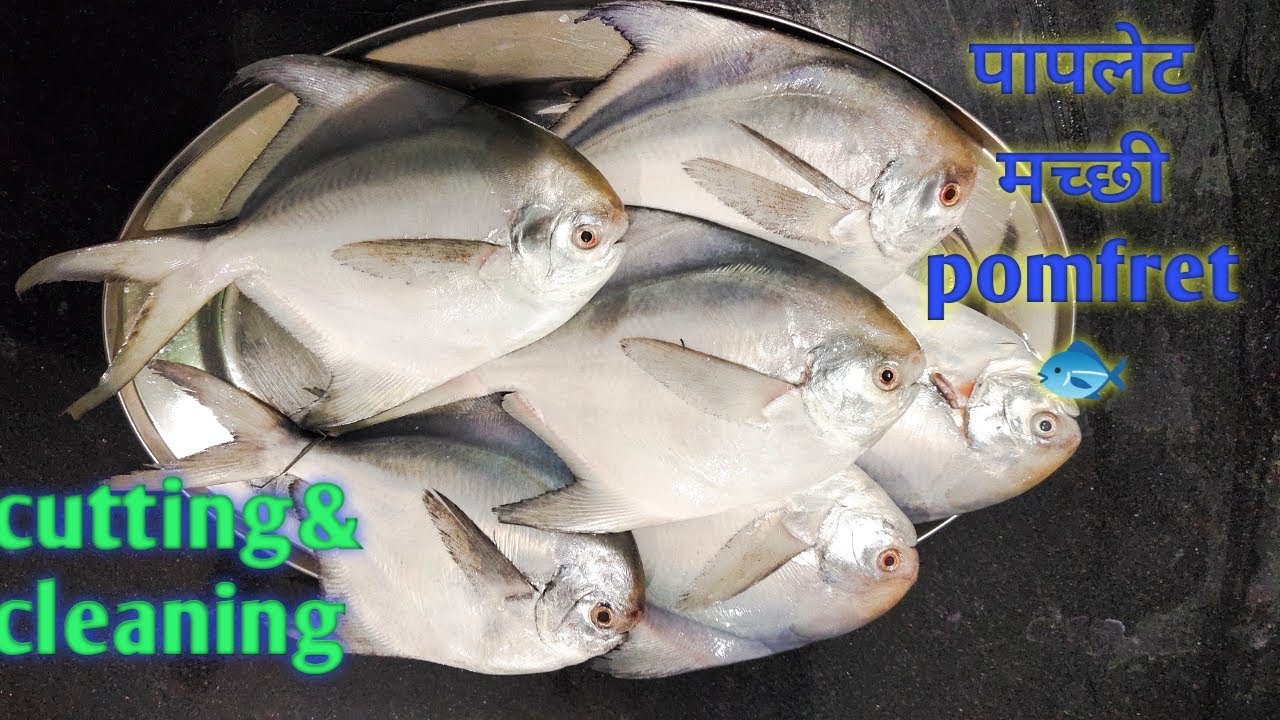 How To Clean & Cut pomfret Fish For Fry | पापलेट फिश को साफ कैसे करें# ...