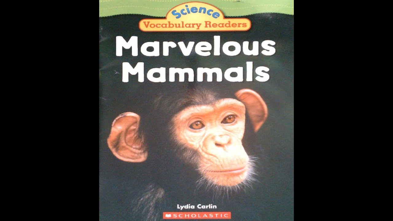 Marvelous Mammals Read Aloud - YouTube