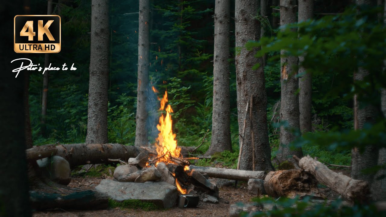 Enjoy the Sparkling Campfire and the Vibes of the Calming Forest 🔥 | 4K ...