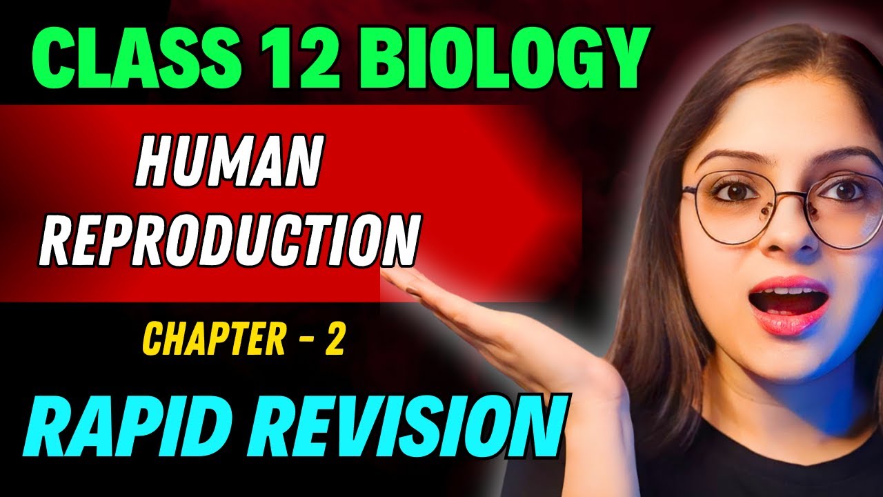 Human Reproduction Rapid Revision 🔥| Full Revision in 30 Min | Class 12 ...