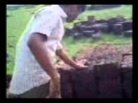 Niyas vidio (Neeni 9746384692 ).3gp