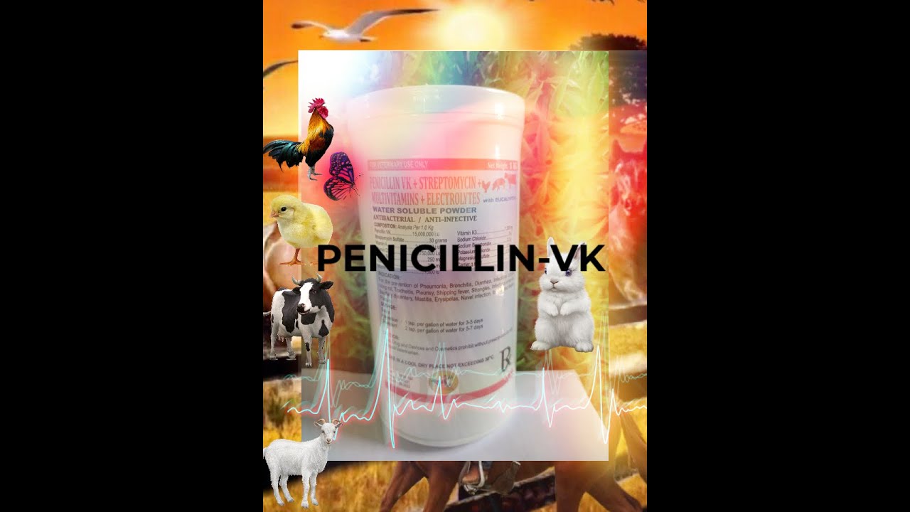 PENICILLIN VK +STREPTOMYCIN+MULTIVITAMINS+ELECTROLYTES - YouTube