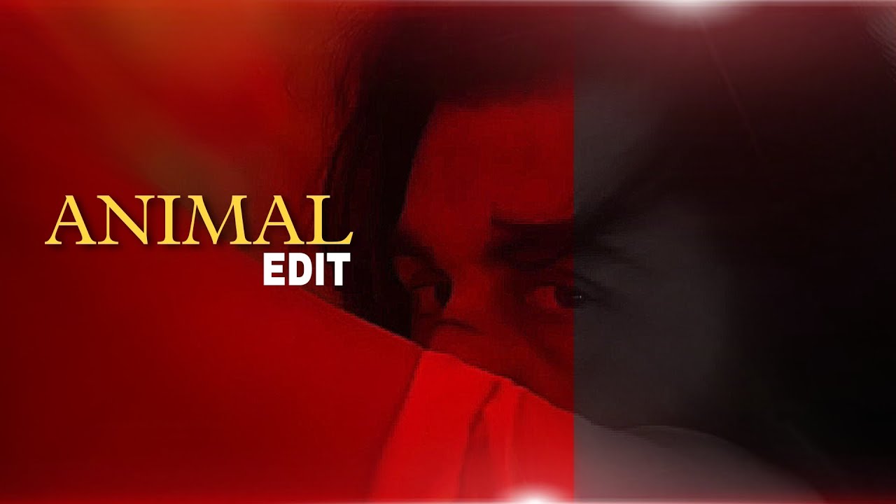 Animal Edit 🔥 • Pre teaser • Wp Status • Ranbir Kapoor • Sandeep Reddy ...