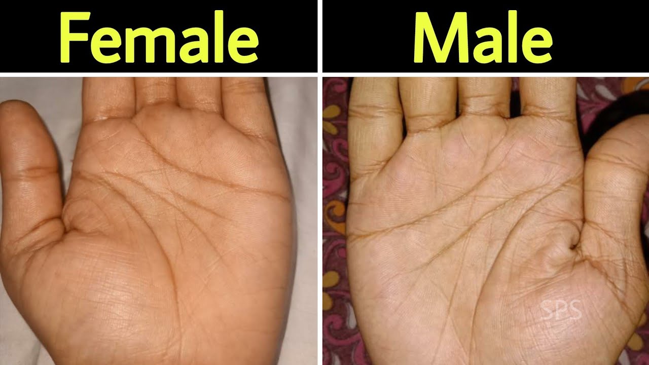 Left Hand Or Right Hand YouTube Left Hand Or Right Hand YouTube