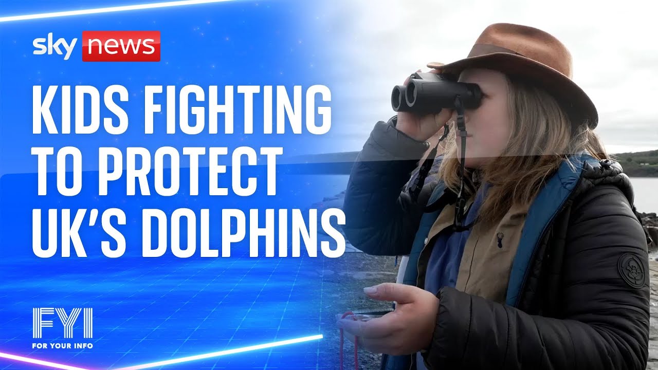 FYI: Kids fighting to protect UK's dolphins - YouTube