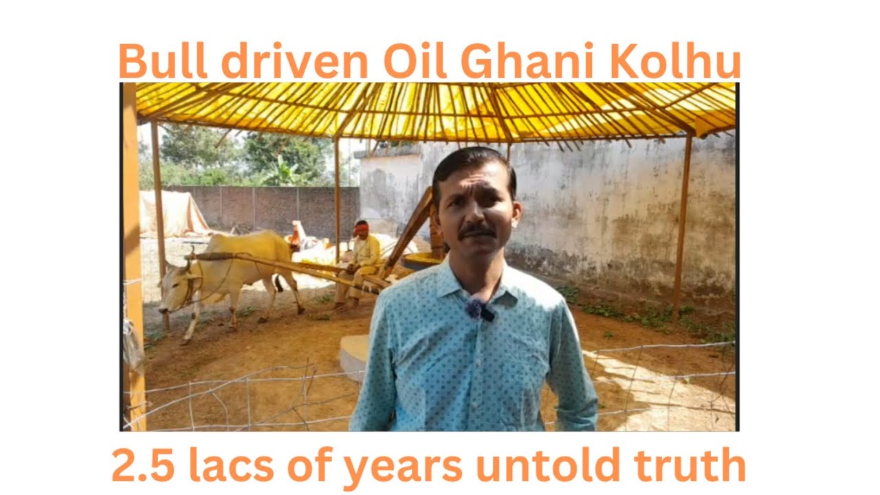 Bull driven Ghani oil Kolhu - Patan Chhattisgarh - YouTube