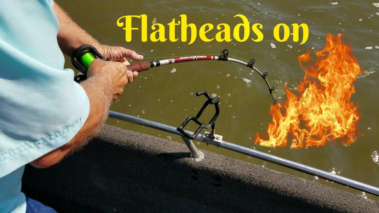 HOTTEST MONSTER Flathead bite EVER!!! - YouTube