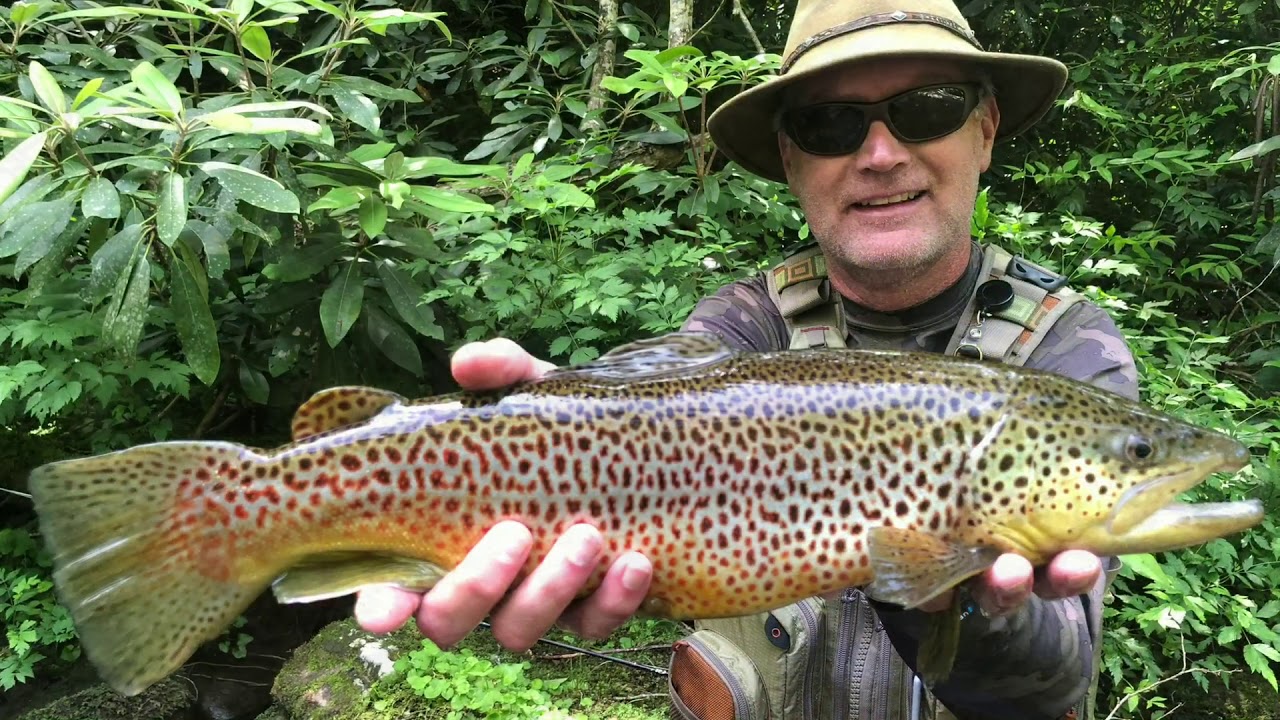 Smoky Mountain Fly Fishing (Jim Parks) #TailsOfTheSmokies - YouTube