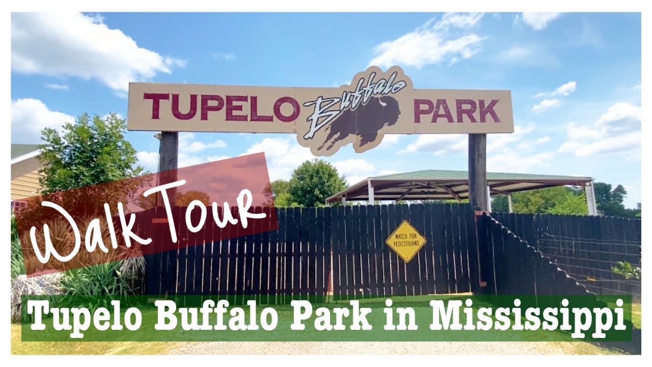 Tupelo Buffalo Park in Mississippi Walk Tour | Tupelo Buffalo Zoo | Zoo ...