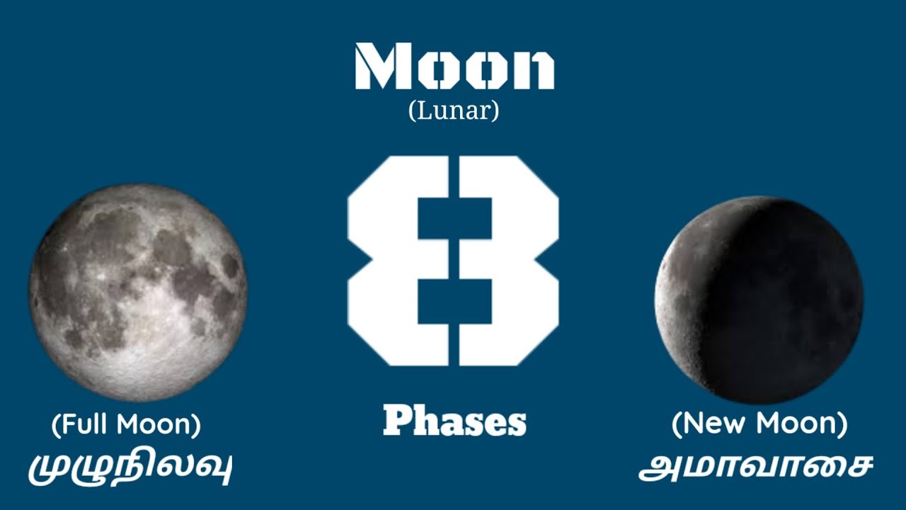 Lunar 8 Phases | Full Moon | New Moon - YouTube