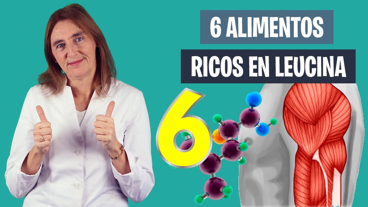 Los 6 ALIMENTOS más RICOS en LEUCINA | Aportar suficiente cantidad de ...