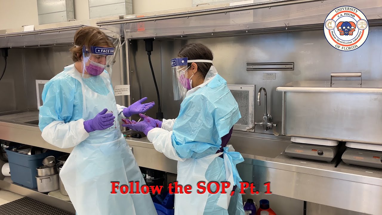 Follow the SOP, Pt 1 - YouTube