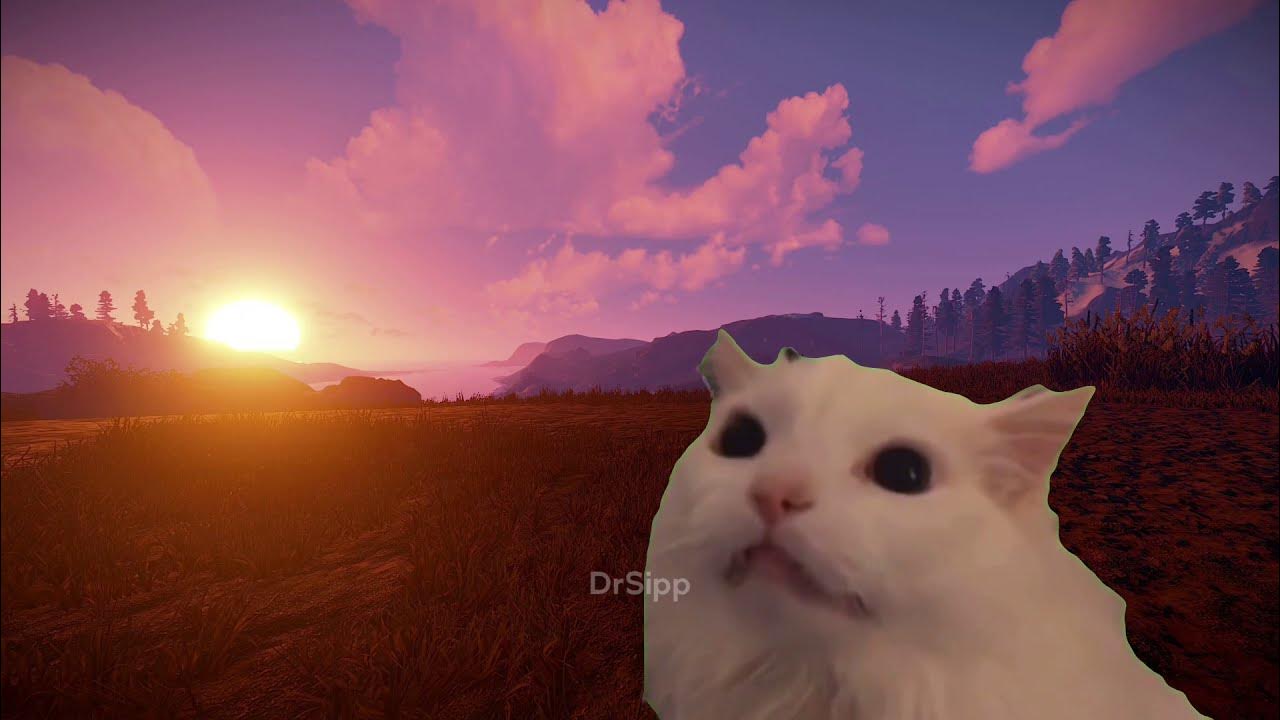 rust cat - YouTube