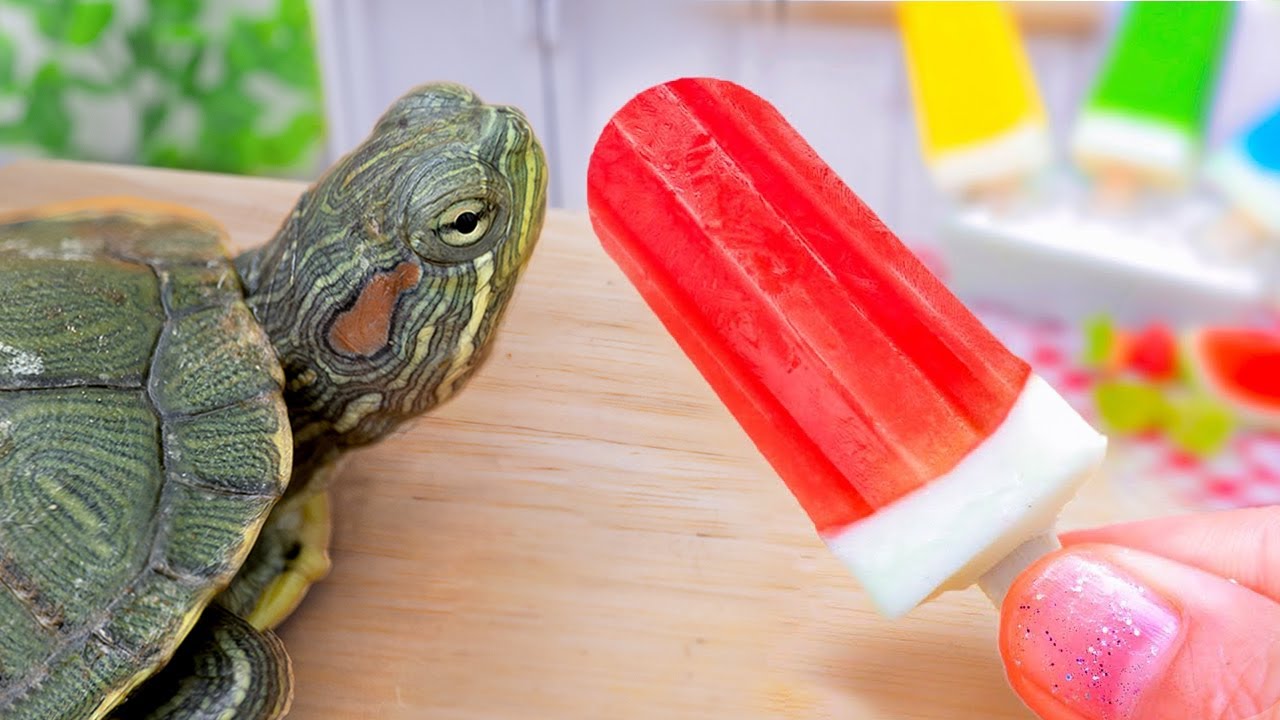Fresh Miniature Watermelon Ice Cream Recipe For Summer 🍉 Rescue Turtle ...