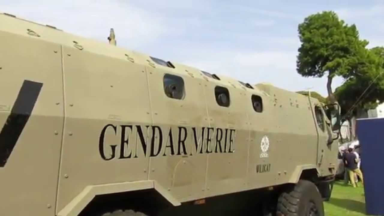 ISRAEL HLS 2014 Homeland Security Review – IMI WILD CAT Multi role All ...