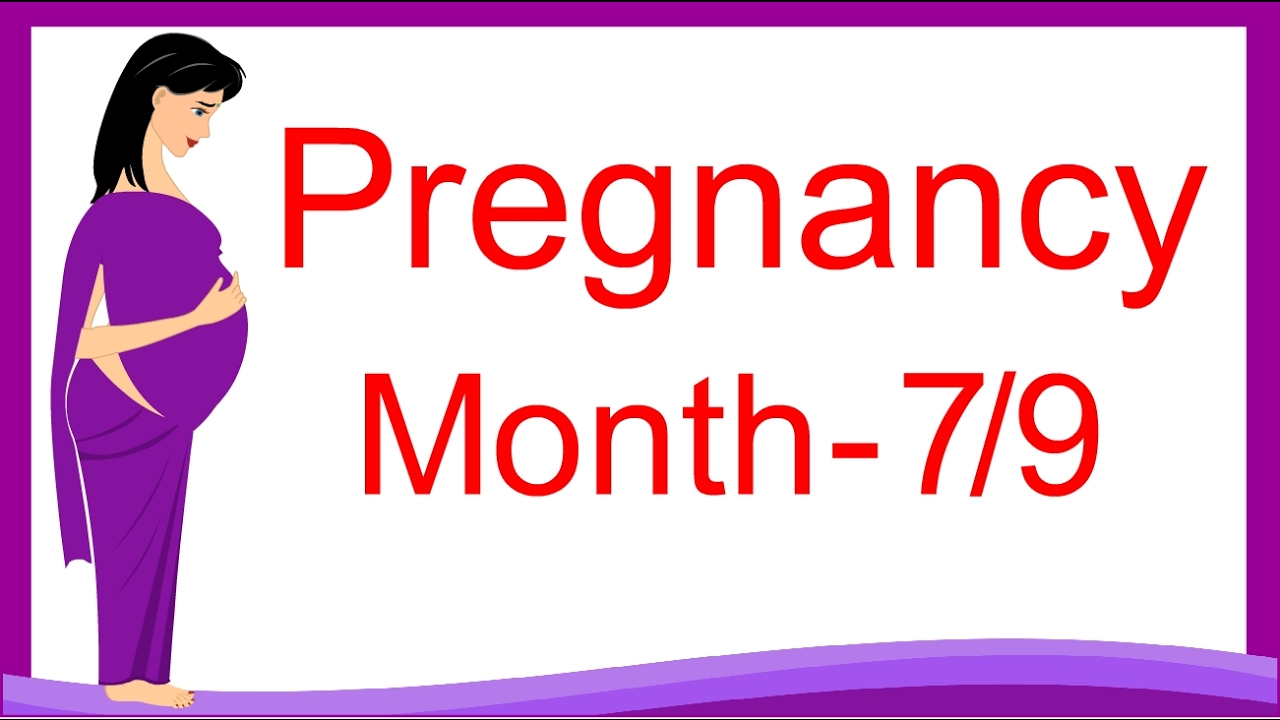 The Pregnancy | 7th Month | Weeks - 25 to Week 28 - YouTube