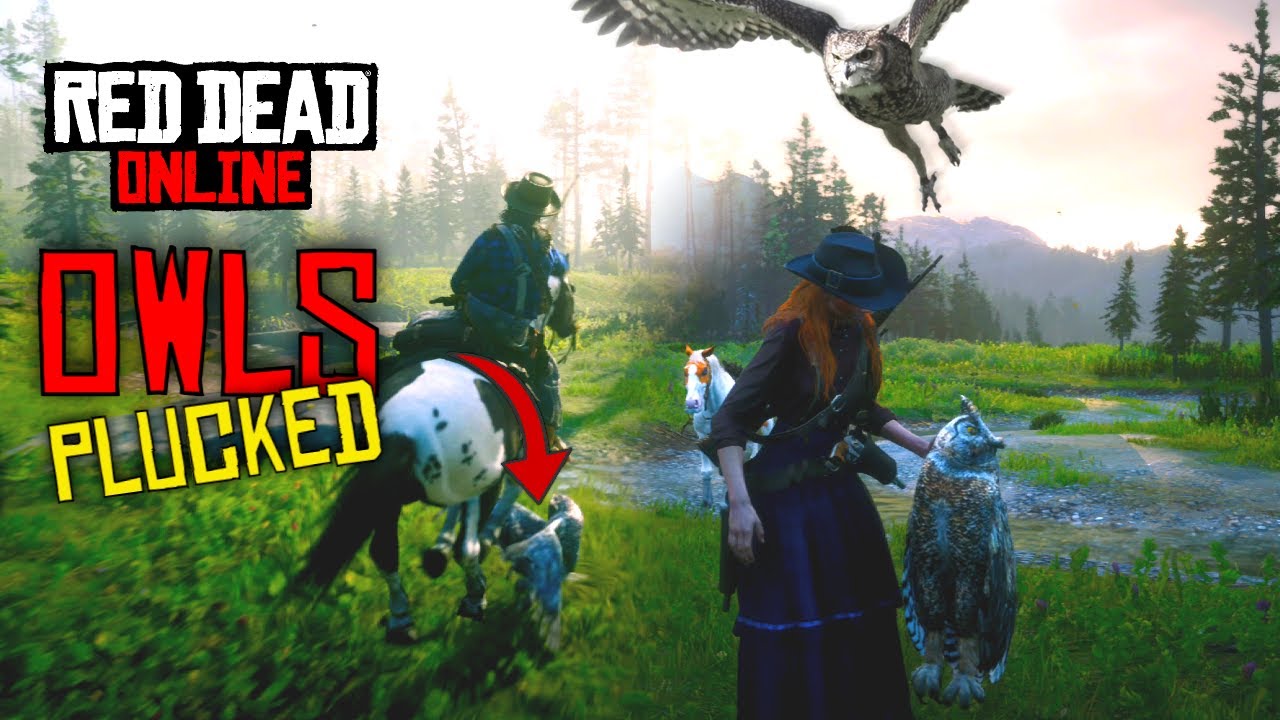 Owls Plucked - Red Dead Online Owl locations - YouTube