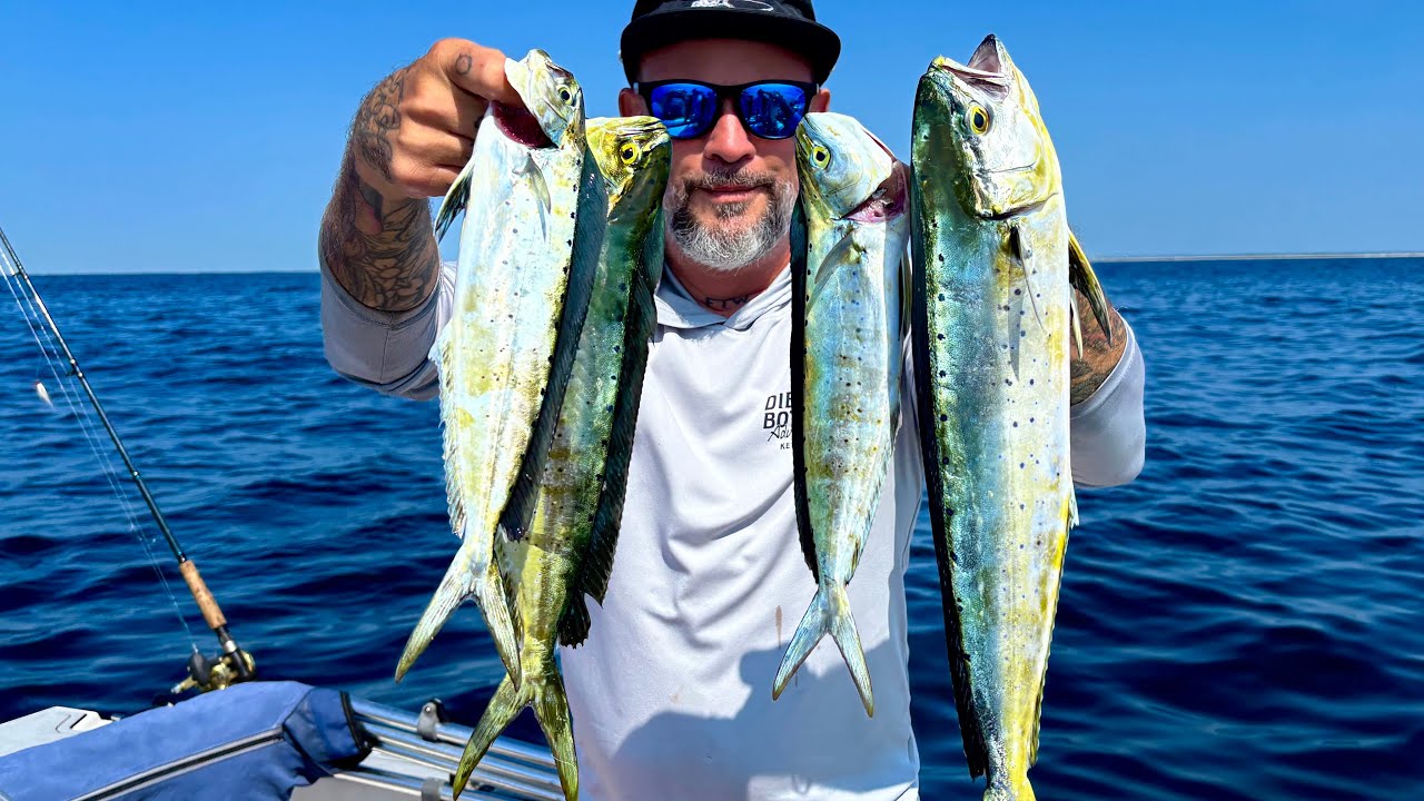 MAHI MAHI…THIS Close to Shore?? | Catch and Cook - YouTube