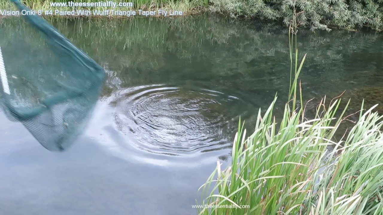 Vision Onki Fly Rod and Triangle Taper Fly Line With Natural Brownie ...