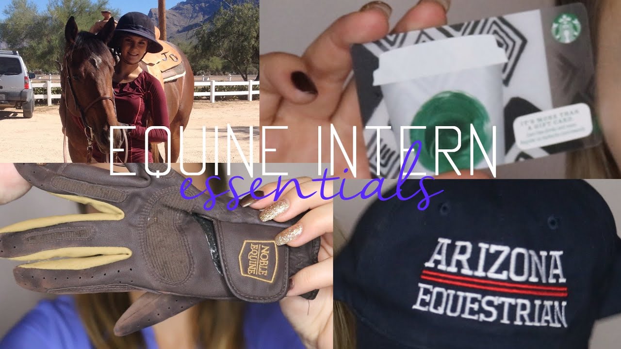 THE EQUINE INTERN ESSENTIALS - YouTube