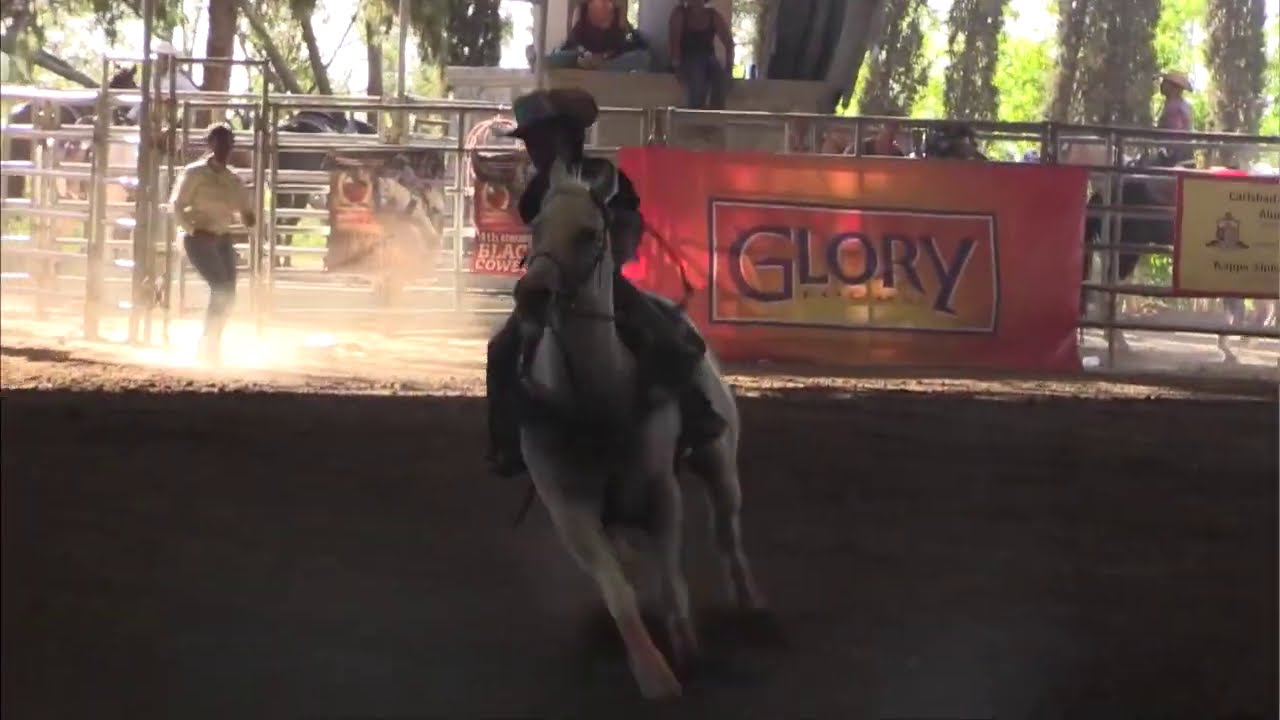 BPIR Week Four, Virtual Rodeo featuring Ladies Barrel Racing - YouTube