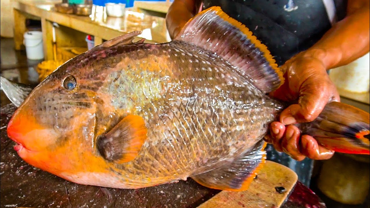 RARE BIG FISH CUTTING || FOOD MARKET VIDEOS || FOOD VERY ODD - YouTube