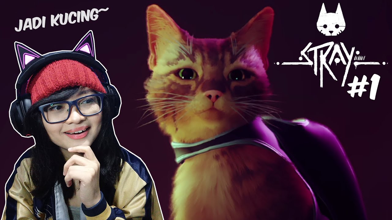 MEONG MEONG MEONG~ - STRAY INDONESIA 01 - YouTube