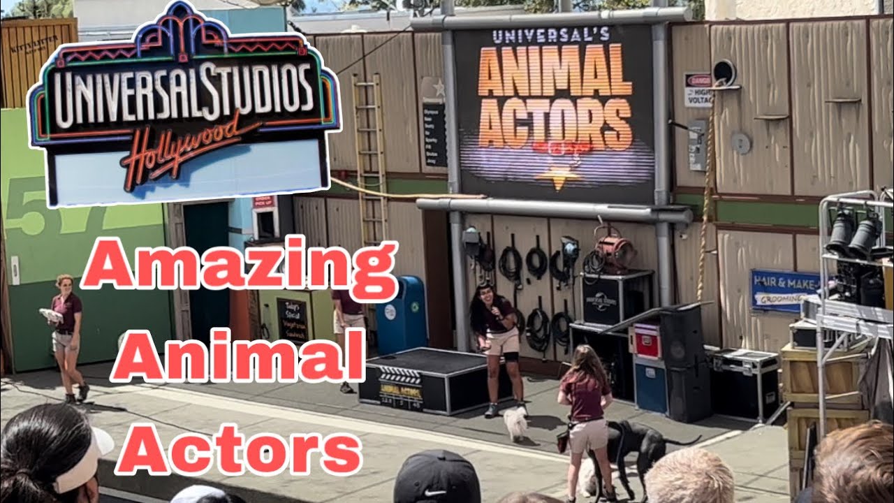 Animal Actors At Universal Studios Hollywood | annasworld - YouTube