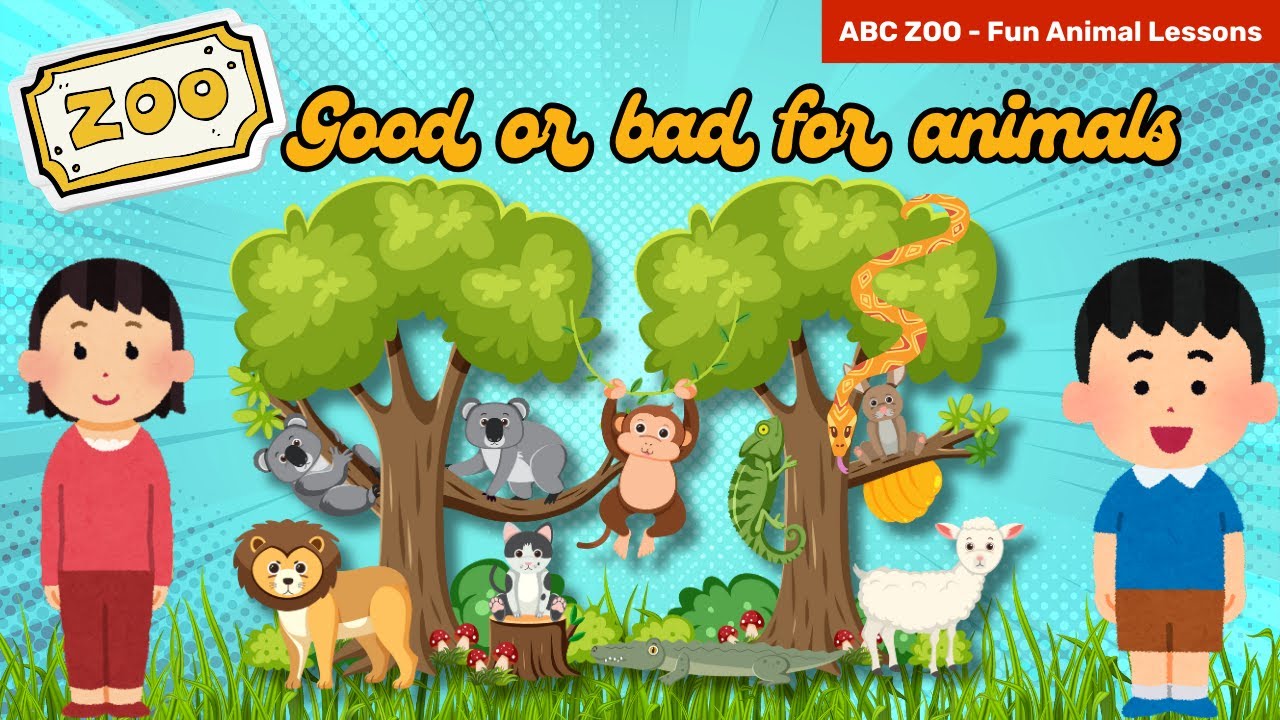 Is the Zoo Good or Bad for Animals? | ABC ZOO Fun Animal Lessons - YouTube