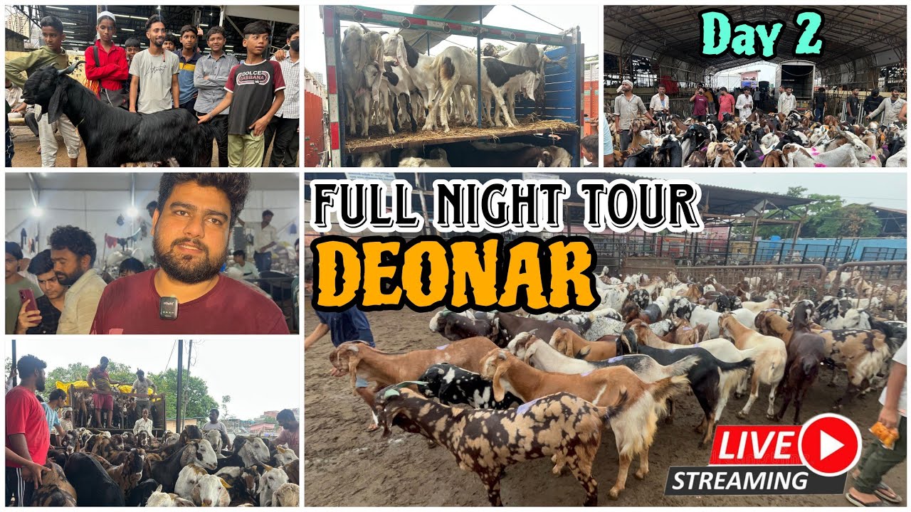 DEONAR BAKRA MANDI FULL NIGHT TOUR , DAY 2 , FULL MENTAL ANDUL BAKRE ...