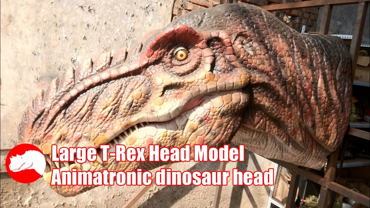 Animatronic Large T-Rex Head Model, Dinosaur Head - YouTube