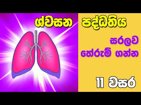 O/L Science Sinhala | Grade 11 Science Unit 6 Part 5| Respiratory System | ශ්වසන පද්ධතිය