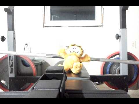 Garfield Goes To The Gym - YouTube