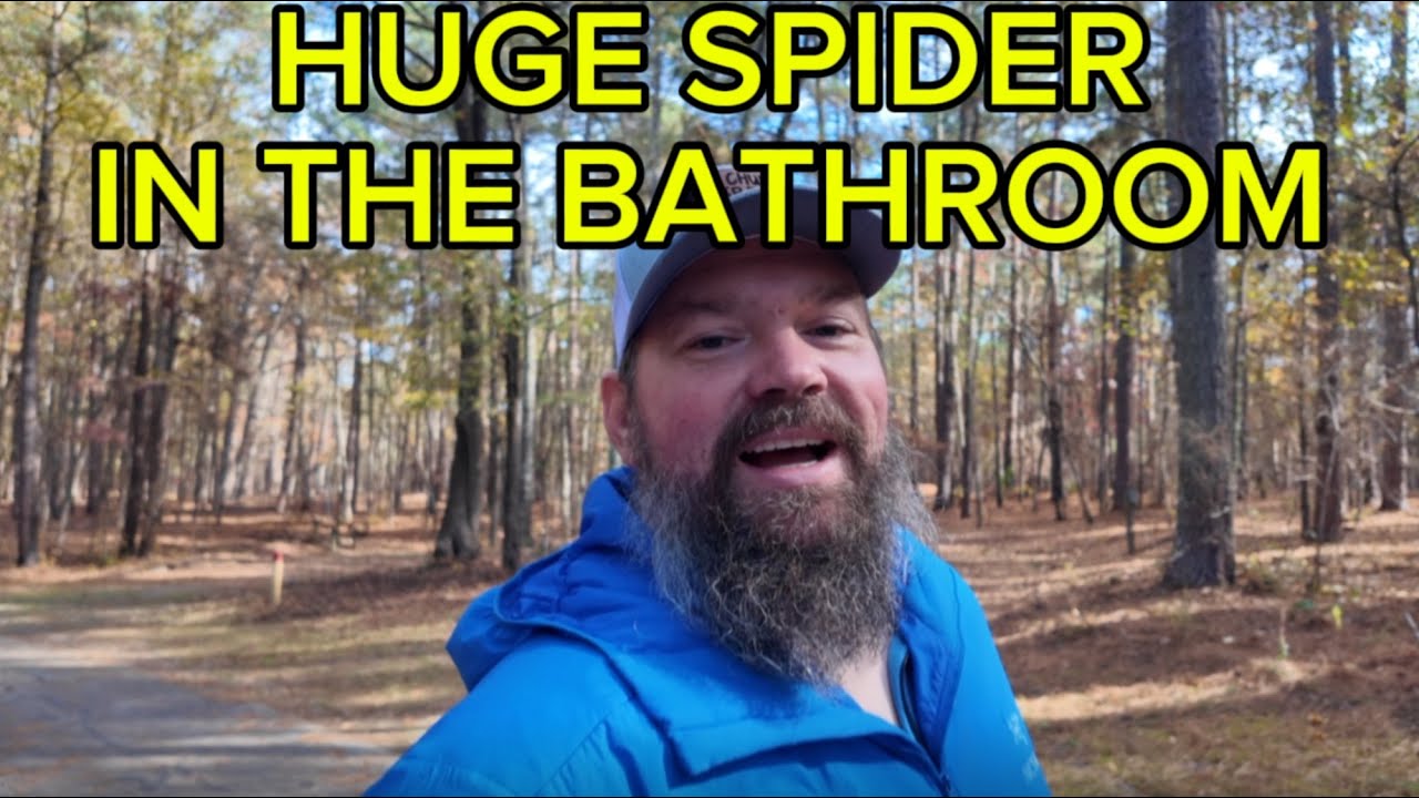 We saved a huge spider! - YouTube