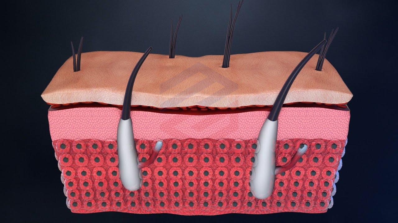 Cellumina Pro Stem Cell | Science Behind Beauty - YouTube