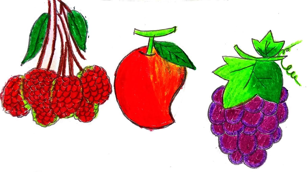 How to draw easy Grape / Mango /lychee Fruits Step by step খুব সহজে ...