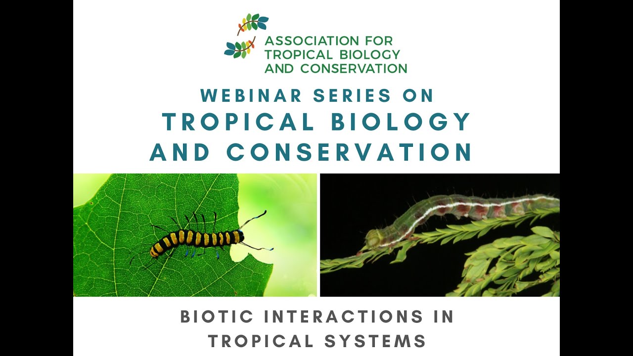 ATBC 2020 Webinar: Biotic Interactions in Tropical Systems - YouTube